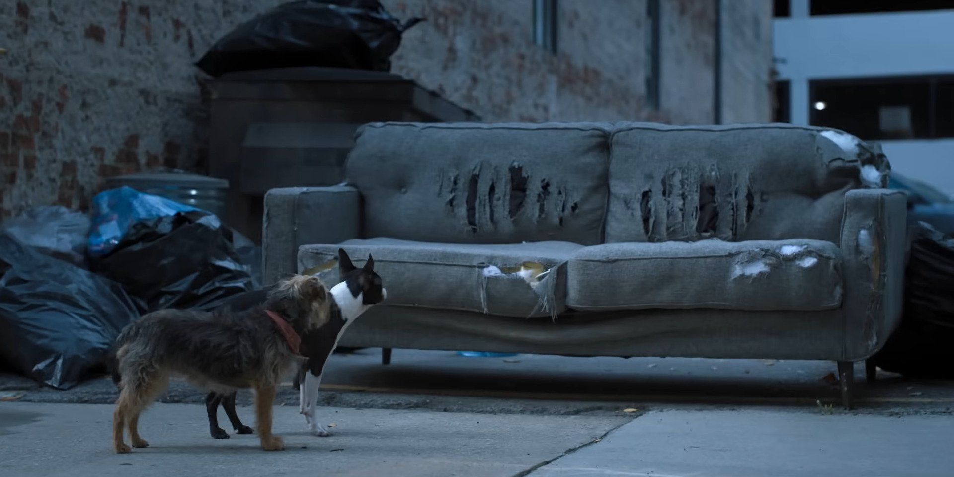 The 10 Funniest 'Strays' Characters, Ranked