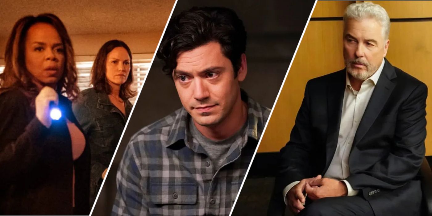 10 Best 'CSI: Vegas' Episodes, According to IMDb