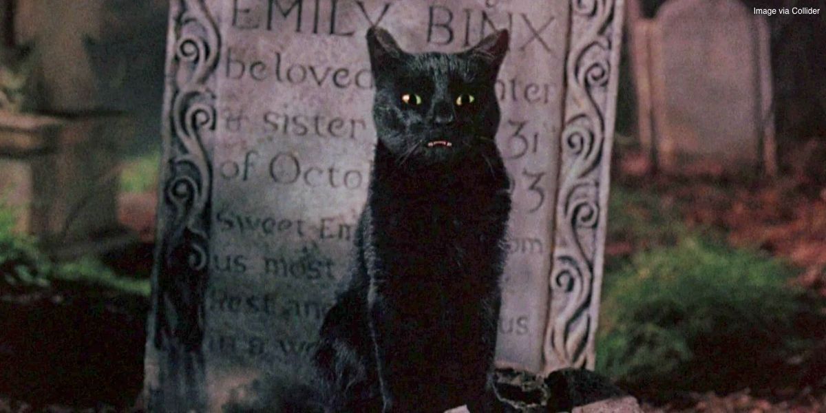 10 Best Talking Animals in Live-Action Movies, Ranked