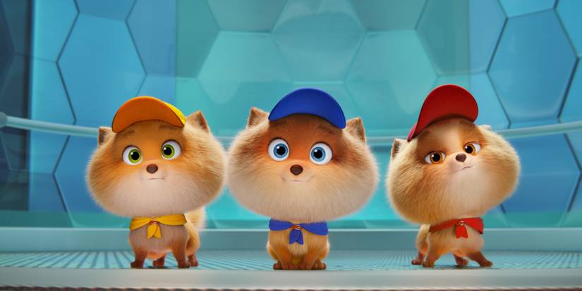 Where To Watch and Stream ‘Paw Patrol: The Mighty Movie'