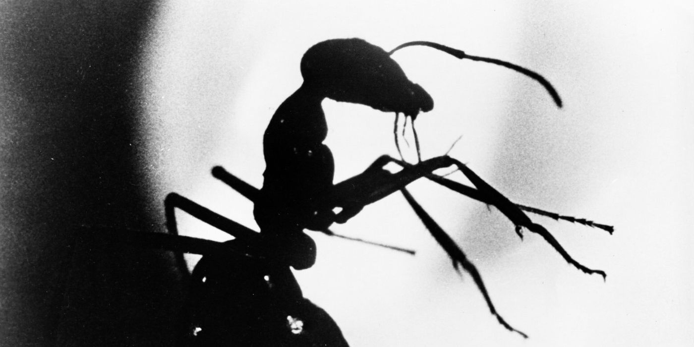 Saul Bass's Only Credit as Director Is a Weird Horror Movie About Ants