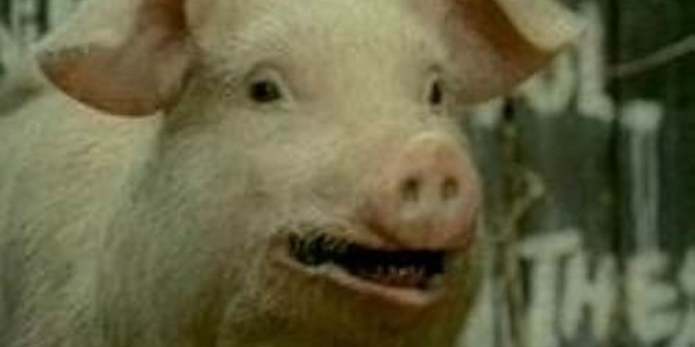 10 Best Characters Voiced by Kelsey Grammer, Ranked