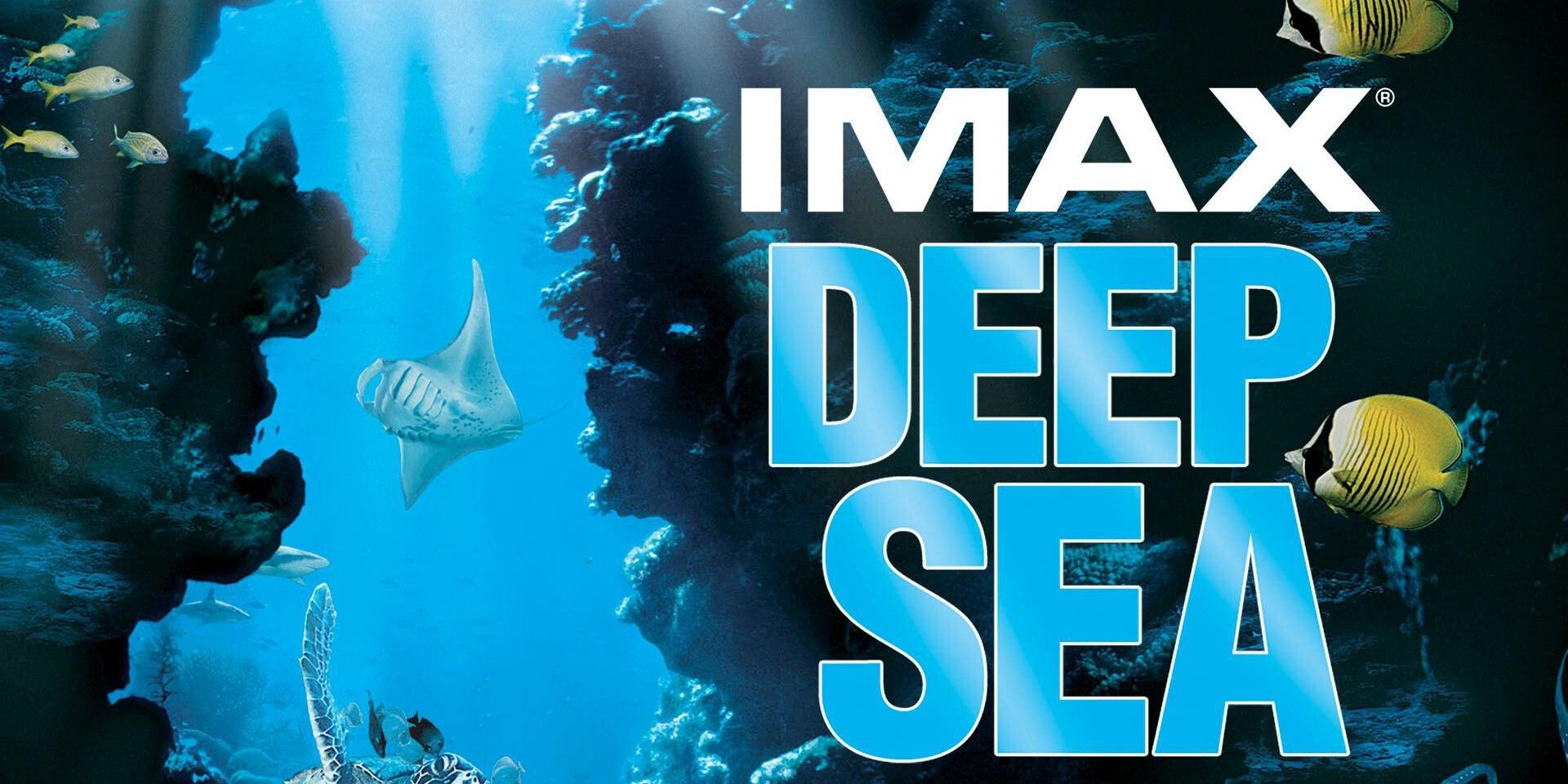 10 Highest-Grossing Documentaries of All Time, Ranked