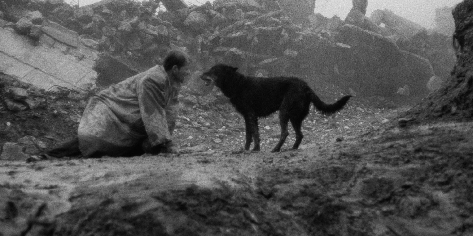 10 Best Béla Tarr i Movies, According to IMDb