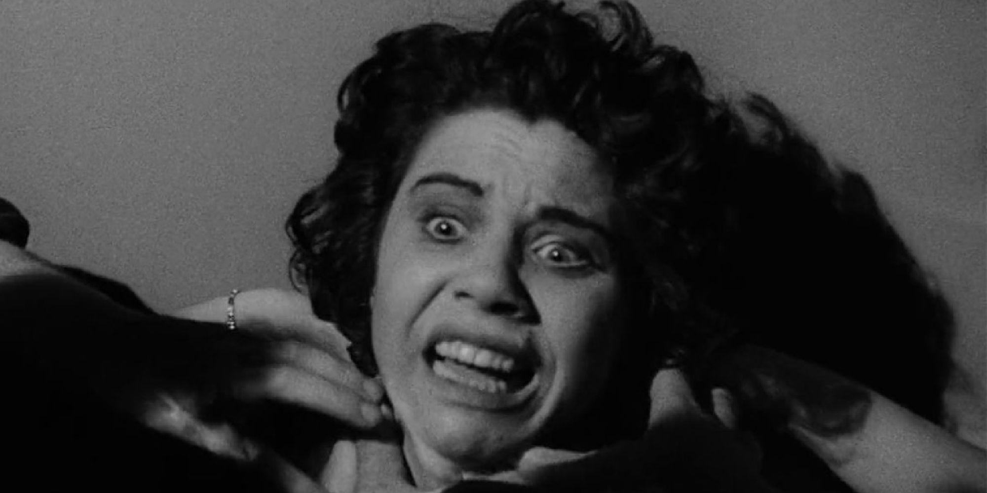 The 10 Best Horror Movies of the 1950s, According to Letterboxd