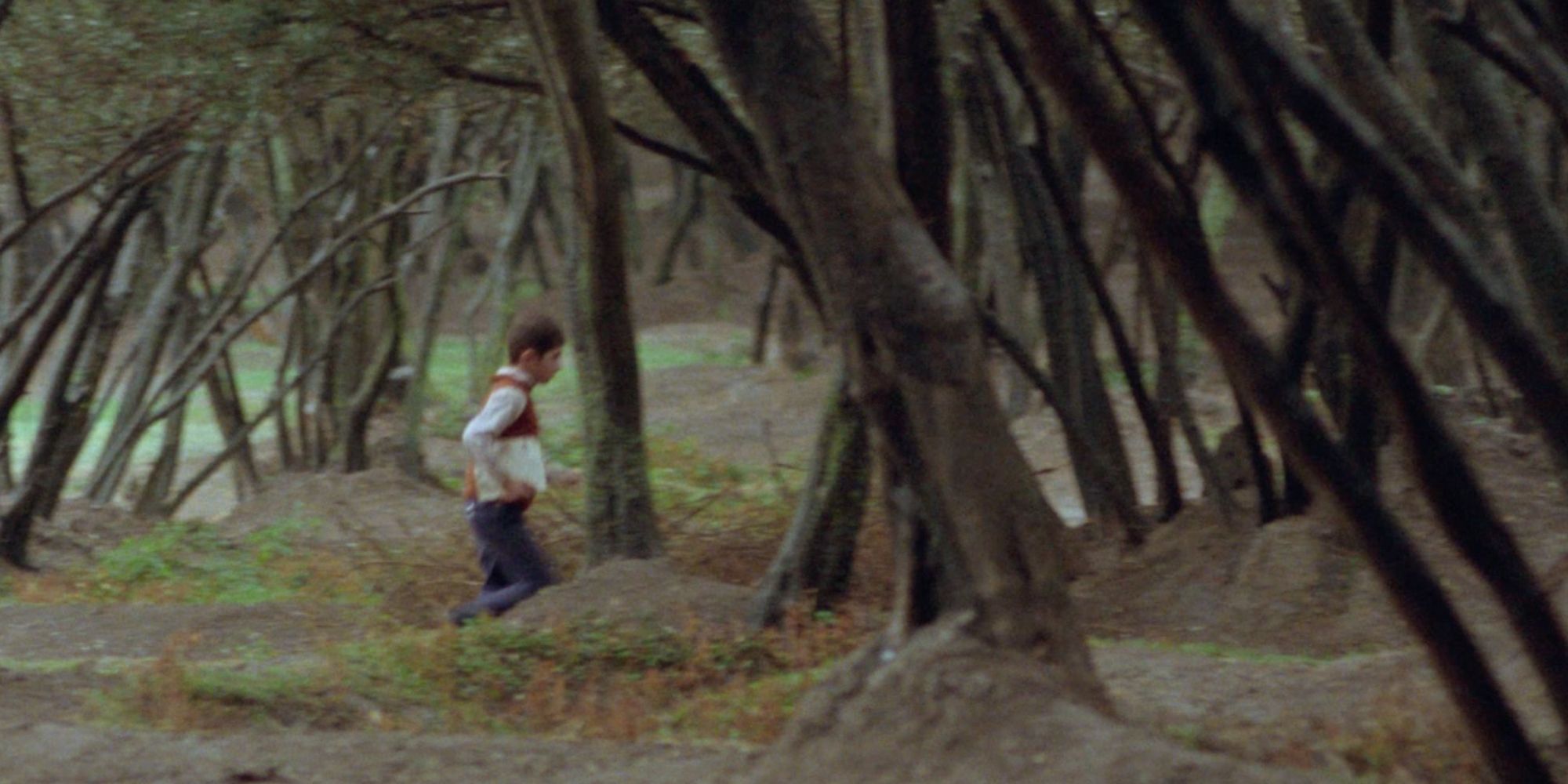 10 Best Abbas Kiarostami Movies, According to Letterboxd