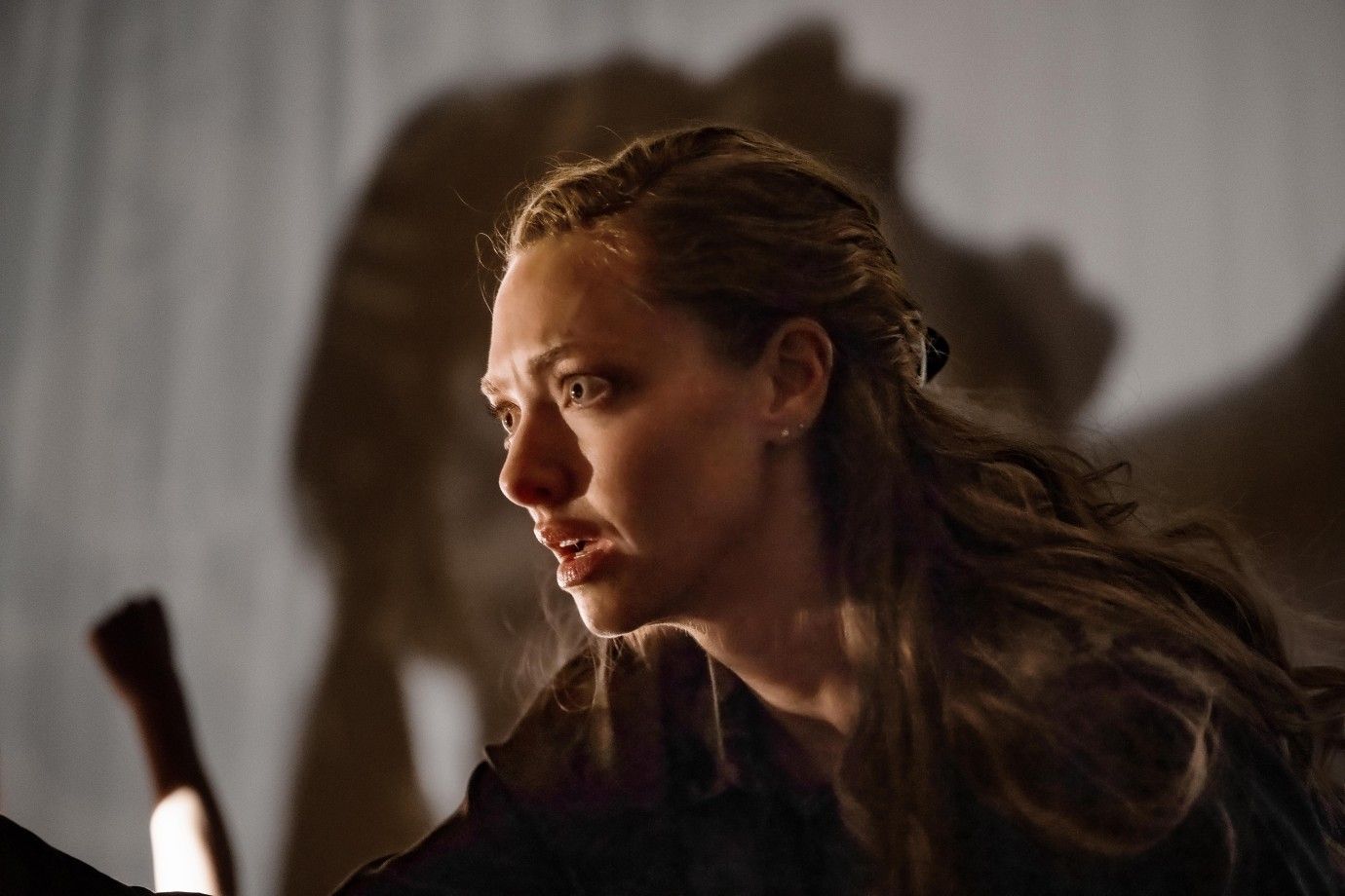 Amanda Seyfried Is an Opera Director In First 'Seven Veils' Image