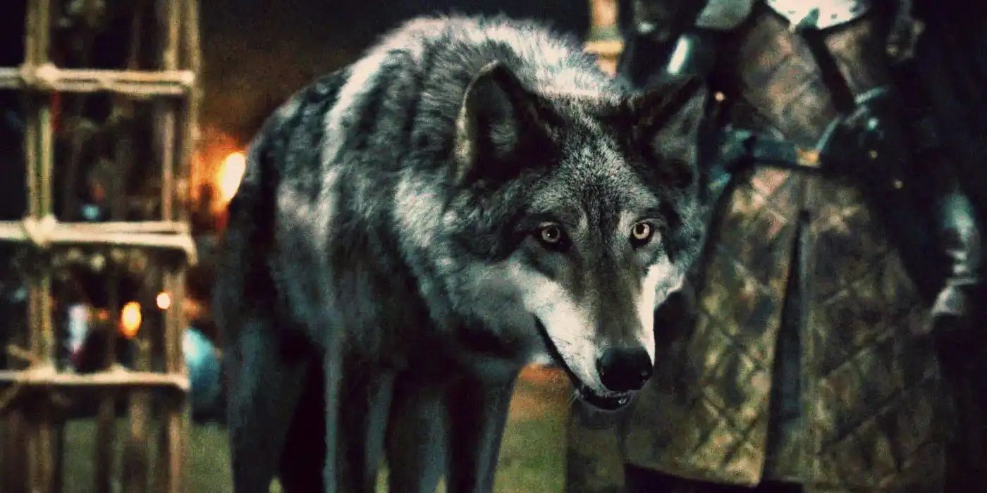 All 6 'Game of Thrones' Direwolf, Ranked