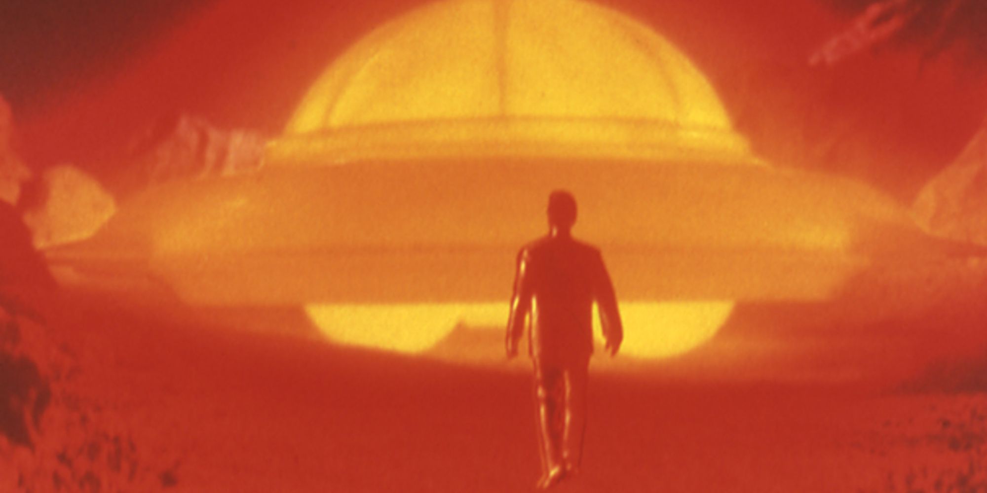 10 Best Cult Classic Movies Of The 1960s Ranked