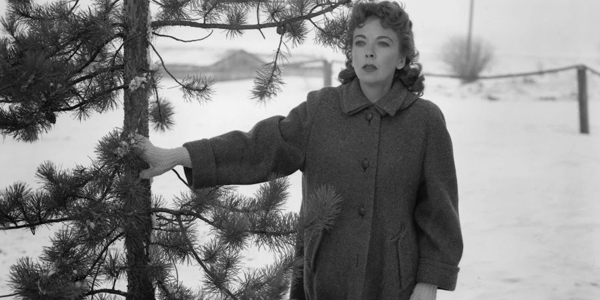 10 Best Nicholas Ray Movies, Ranked