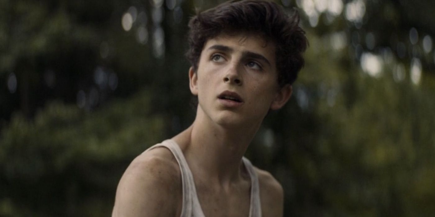 All The Movies Timothée Chalamet Was In Before He Got Famous
