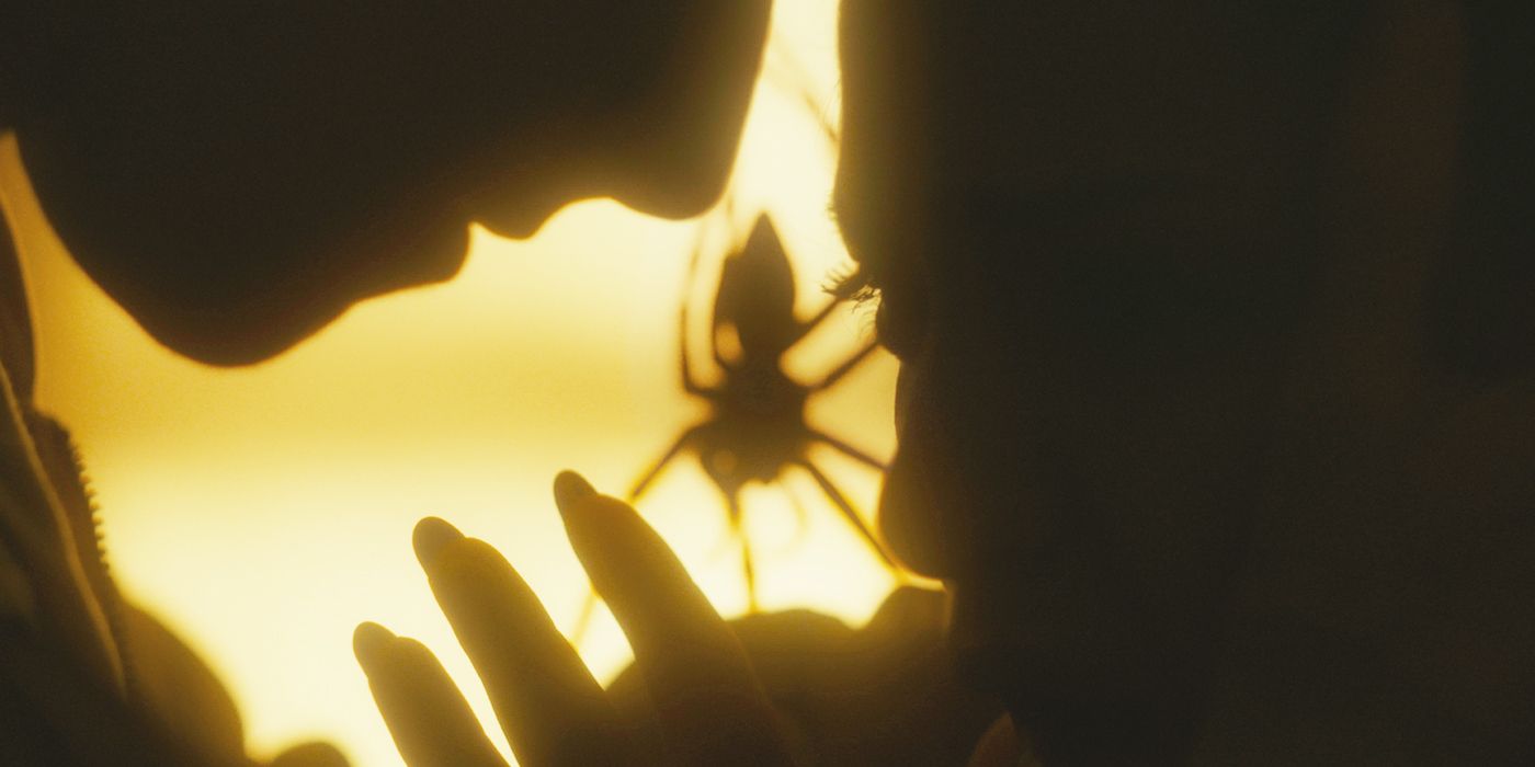 The Best Horror Movies of 2024 (So Far)