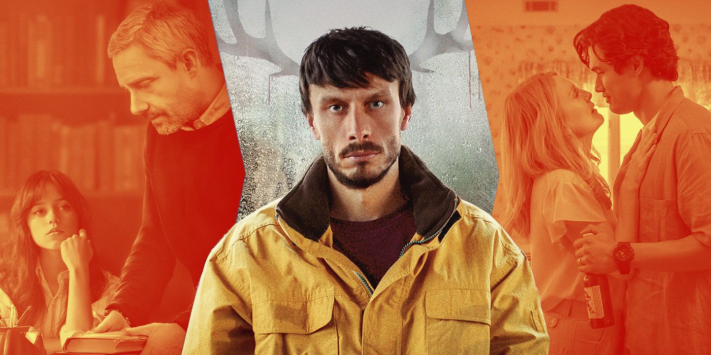 The 10 Best Movies To Watch if You Liked 'Baby Reindeer'