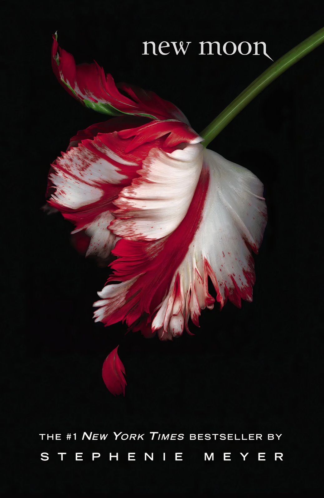 All 5 'Twilight' Books, Ranked According to Goodreads