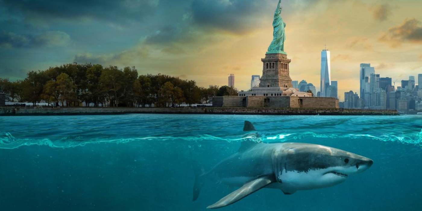 The Best New Shark Week Documentaries on Hulu