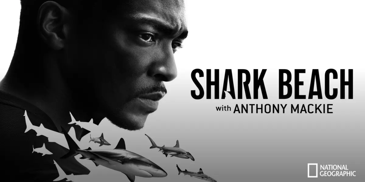 The Best New Shark Week Documentaries on Hulu