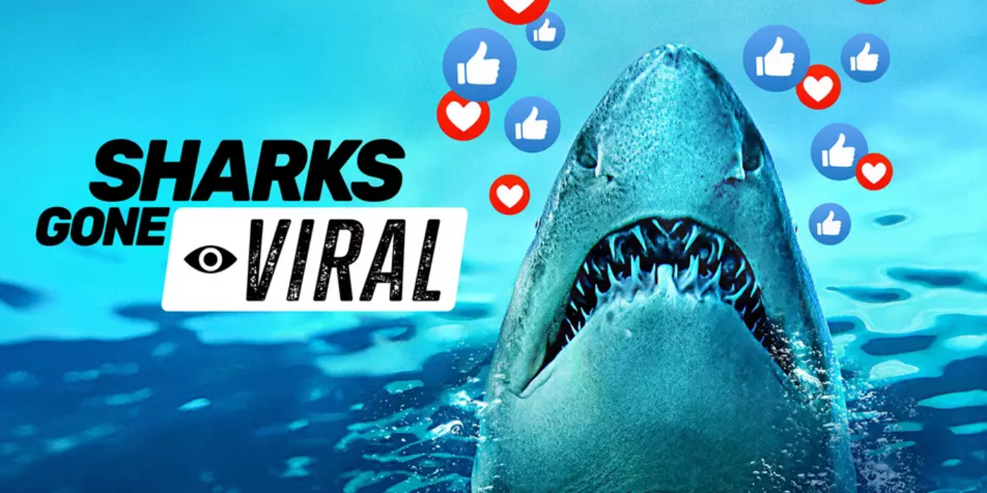 The Best New Shark Week Documentaries on Hulu