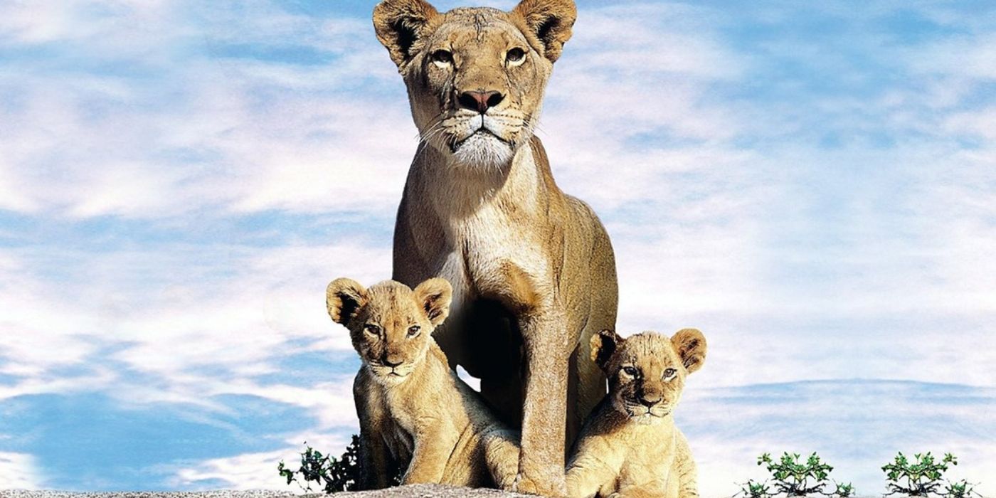 Kate Winslet's 10 Best TV Roles, Ranked