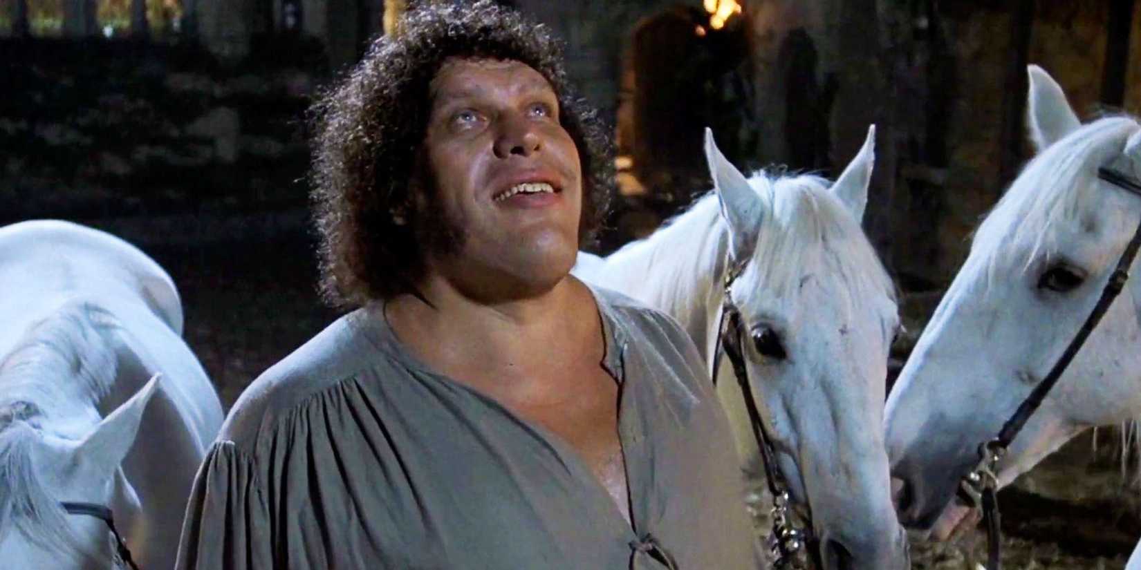 10 Movies To Watch if You Love 'The Chronicles of Narnia'