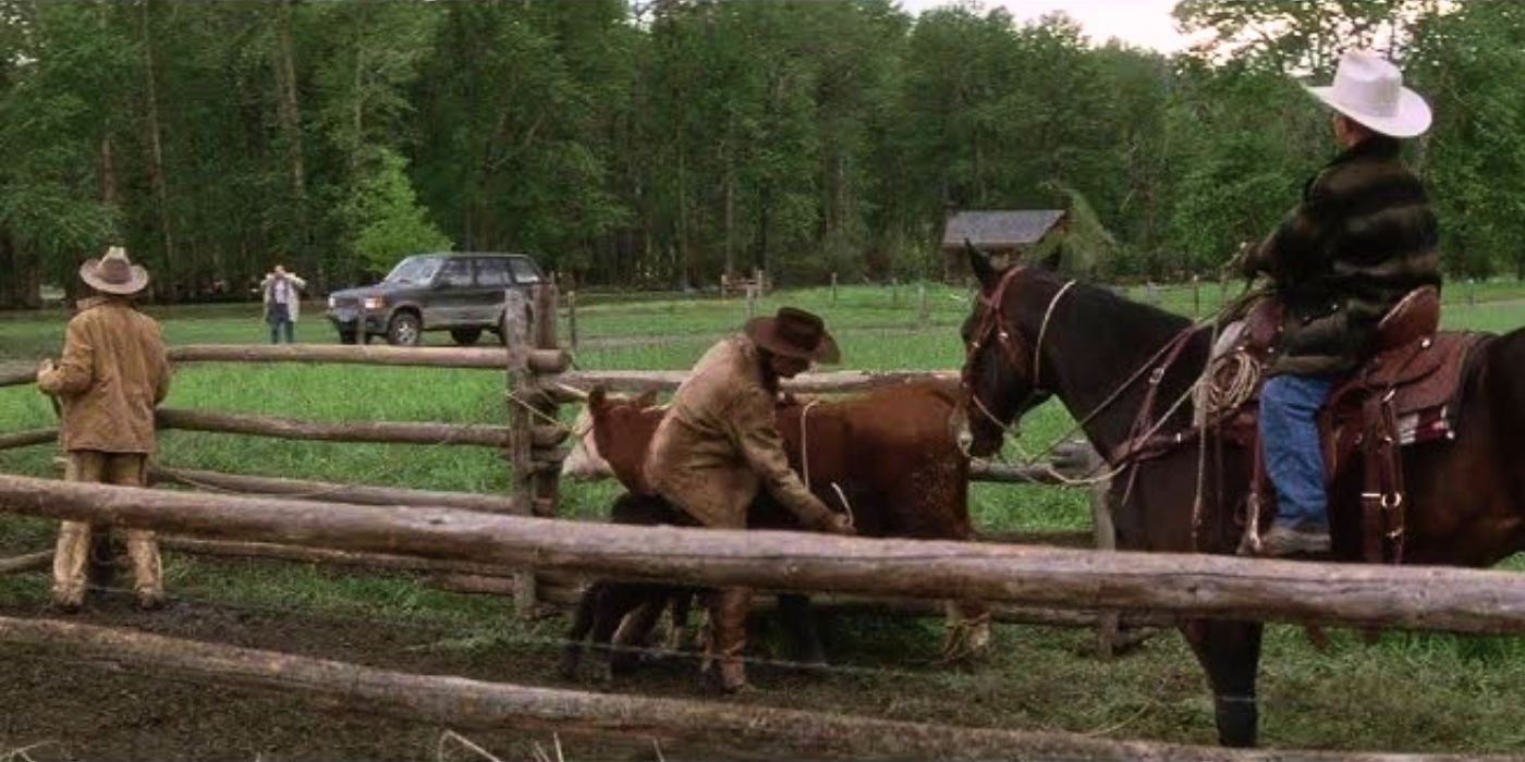 15 Best Dianne Wiest Movies, Ranked According to Rotten Tomatoes