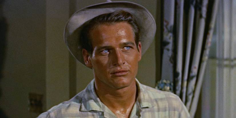 15 Great Movies with 'Hot' or 'Heat' in the Title, Ranked