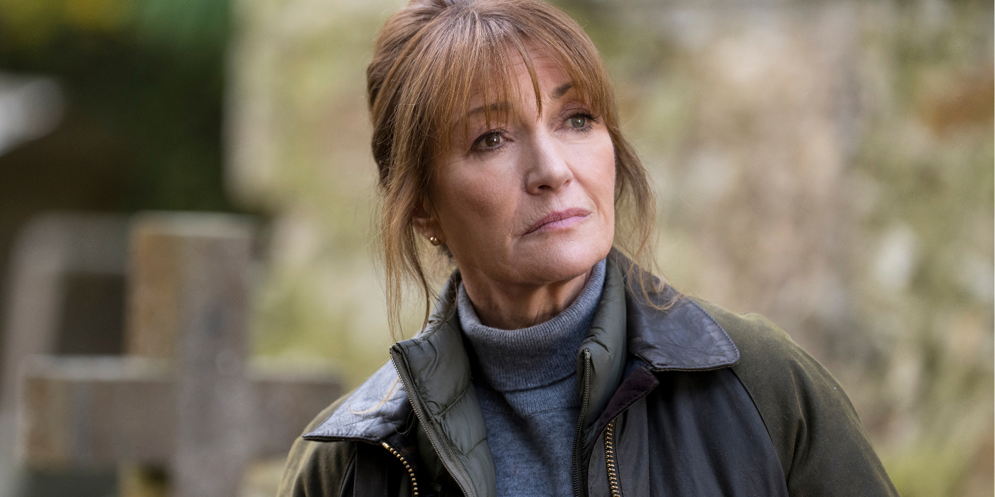 The Fate of Jane Seymour's Irish Mystery Series 'Harry Wild' Has Been ...