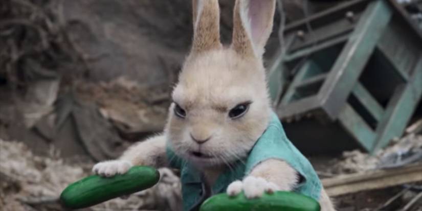 10 Best Daisy Ridley Movies, Ranked