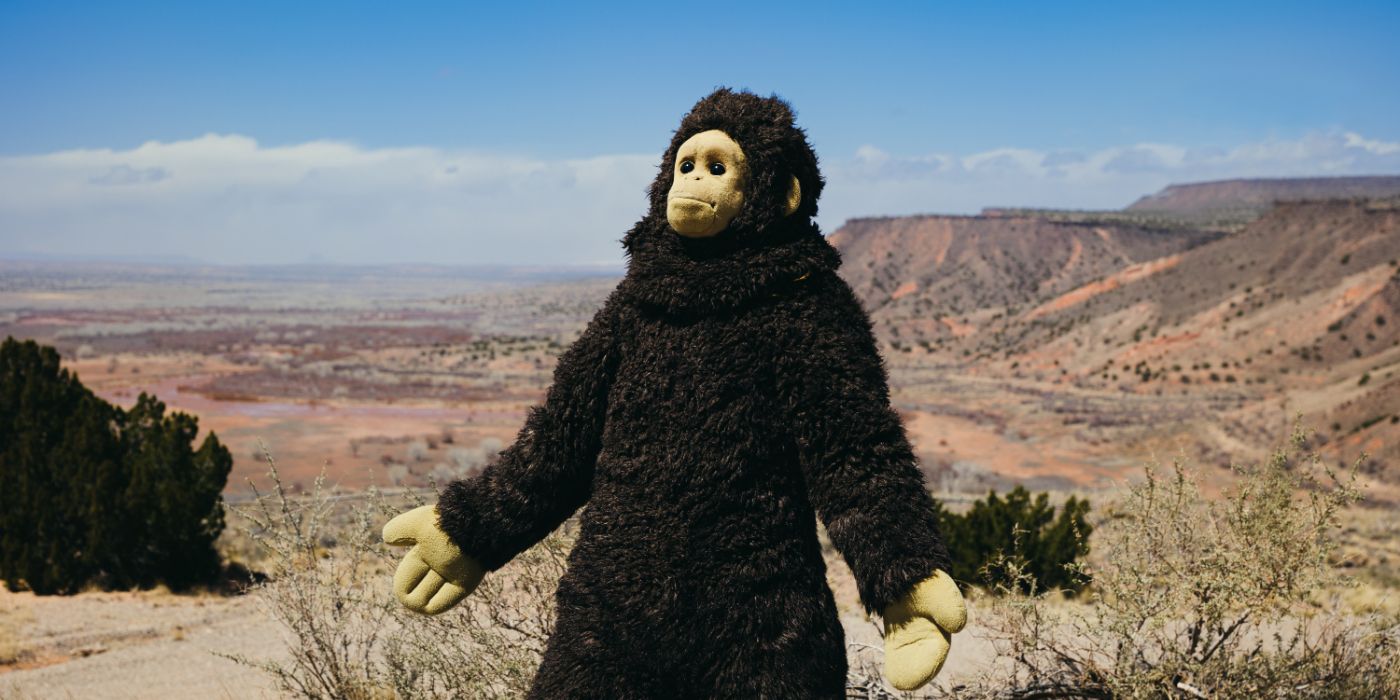 ‘Sunlight’ Trailer Brings One of Nina Conti’s Famed Characters To the ...