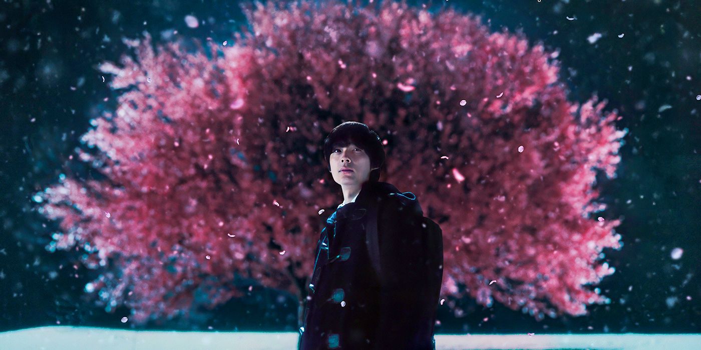 ’5 Centimeters Per Second’s Live-Action Movie Just Got a Massive Update ...