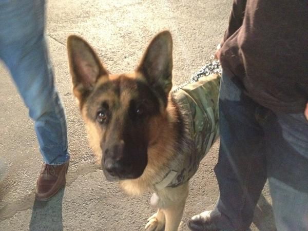 New Set Photos Show Joel Kinnaman as Alex Murphy in ROBOCOP and Aaron ...