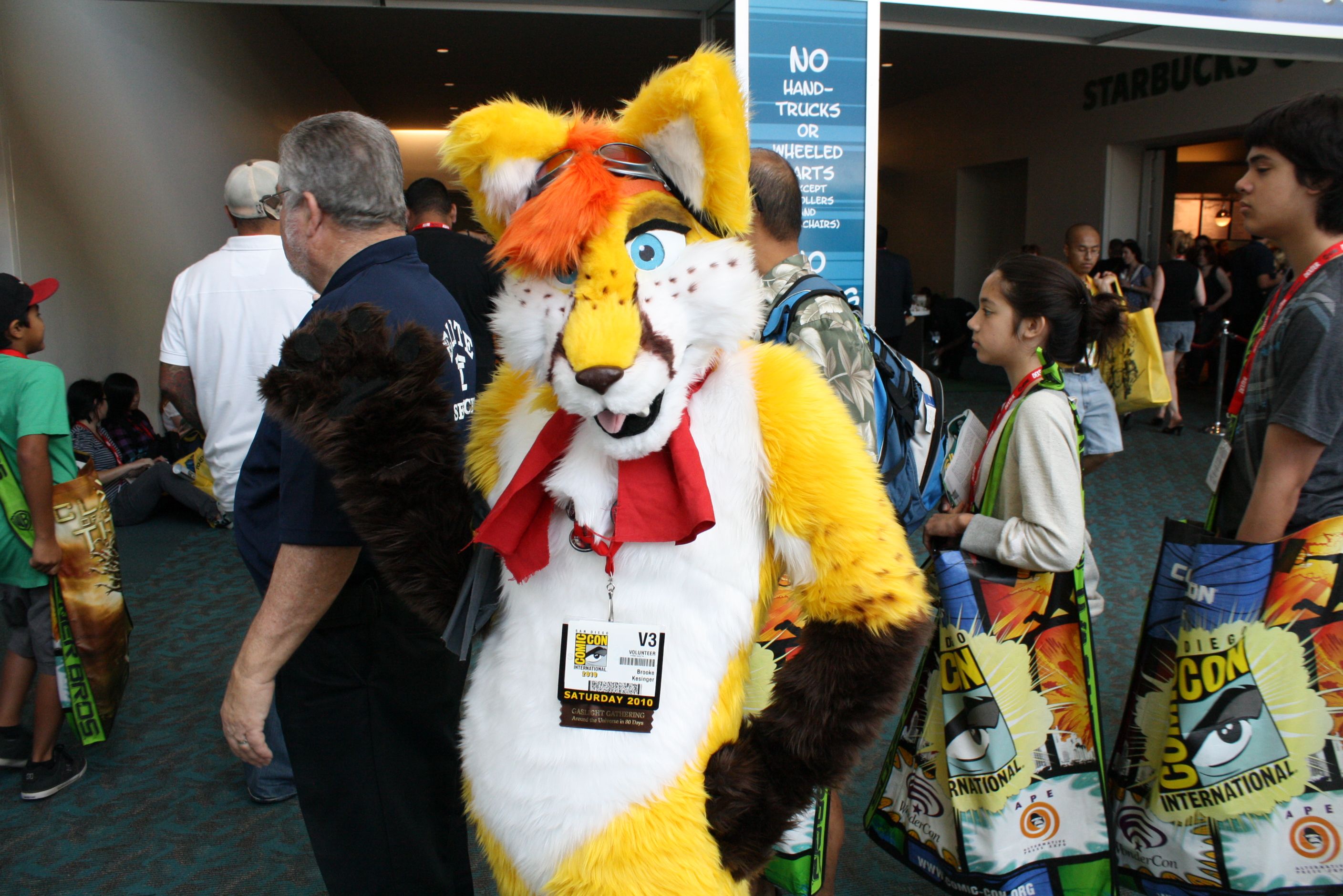Costumes and Cosplay at Comic-Con 2010; Over 80 Pictures of People in ...