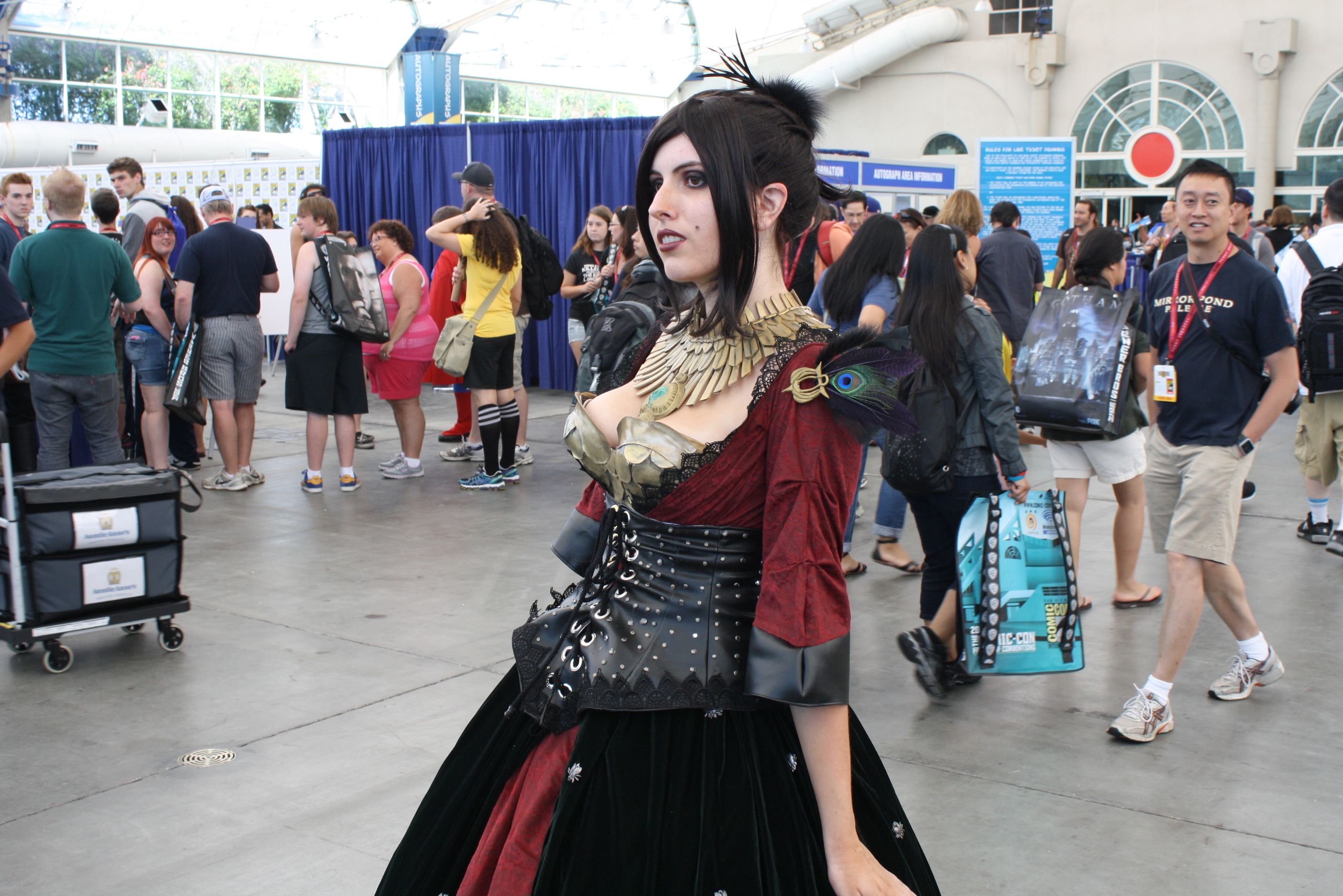 Cosplay Comic-Con Pictures; 100 Pictures from Comic-Con 2014