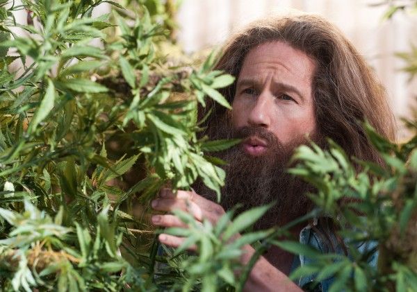 David Duchovny Talks GOATS, CALIFORNICATION and Possible Future THE X ...