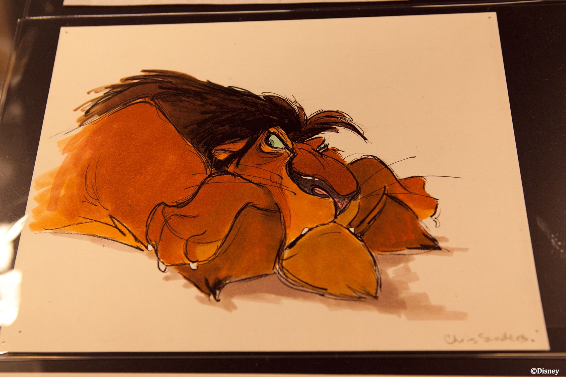 Disney Animation Research Library Images and Tour for THE LION KING 3D