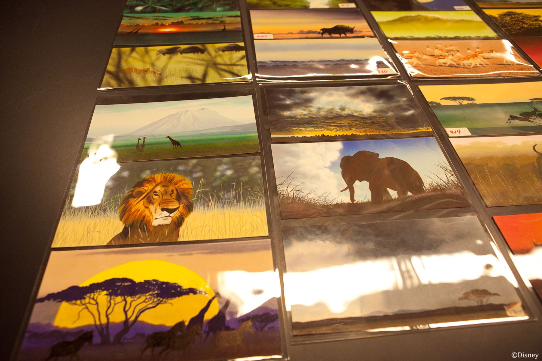 Disney Animation Research Library Images and Tour for THE LION KING 3D
