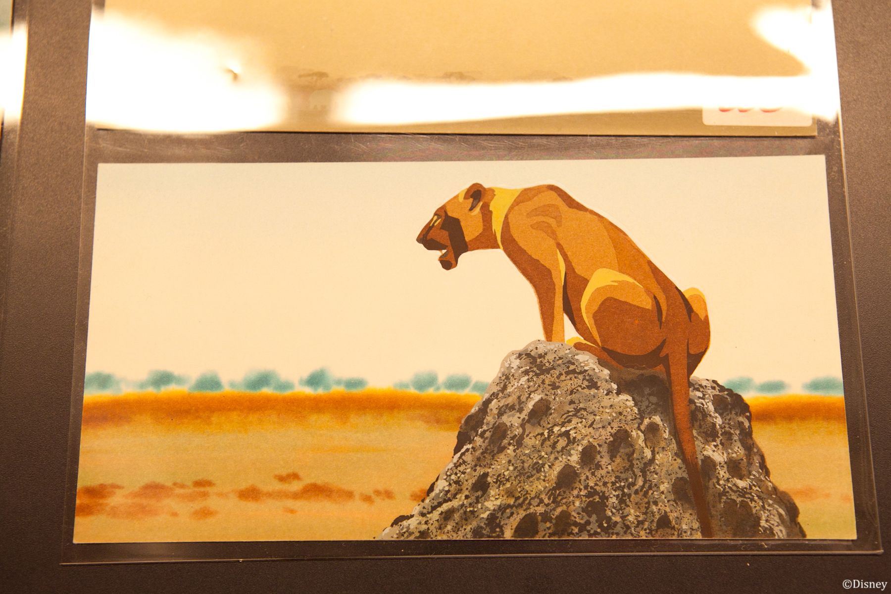 Disney Animation Research Library Images and Tour for THE LION KING 3D