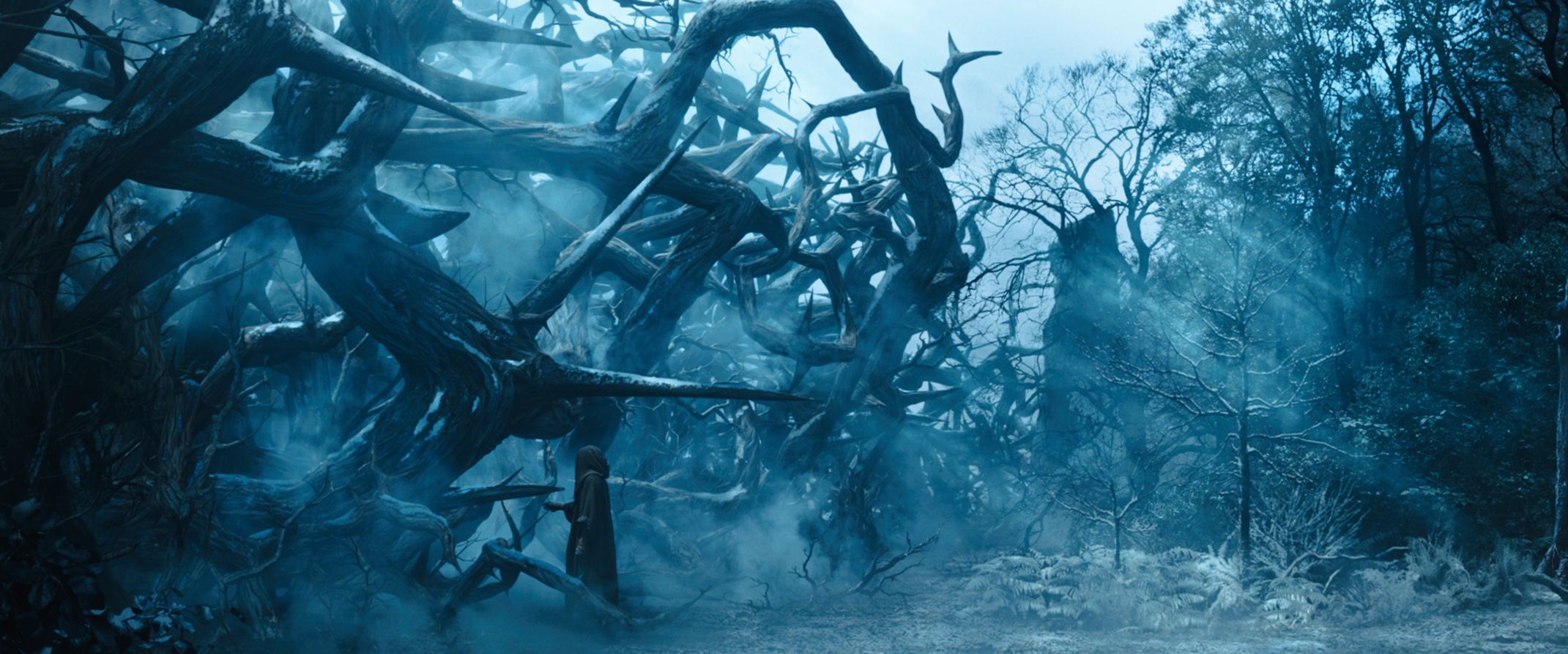 MALEFICENT Images. MALEFICENT Stars Angelina Jolie and Elle Fanning