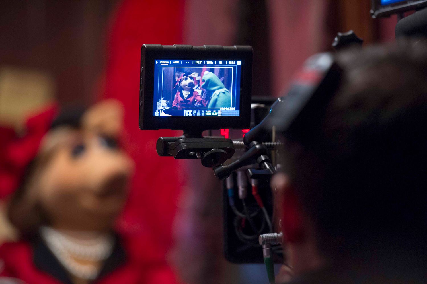 MUPPETS MOST WANTED Images