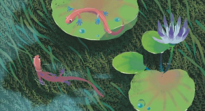 Concept Art from Pixar's Defunct NEWT