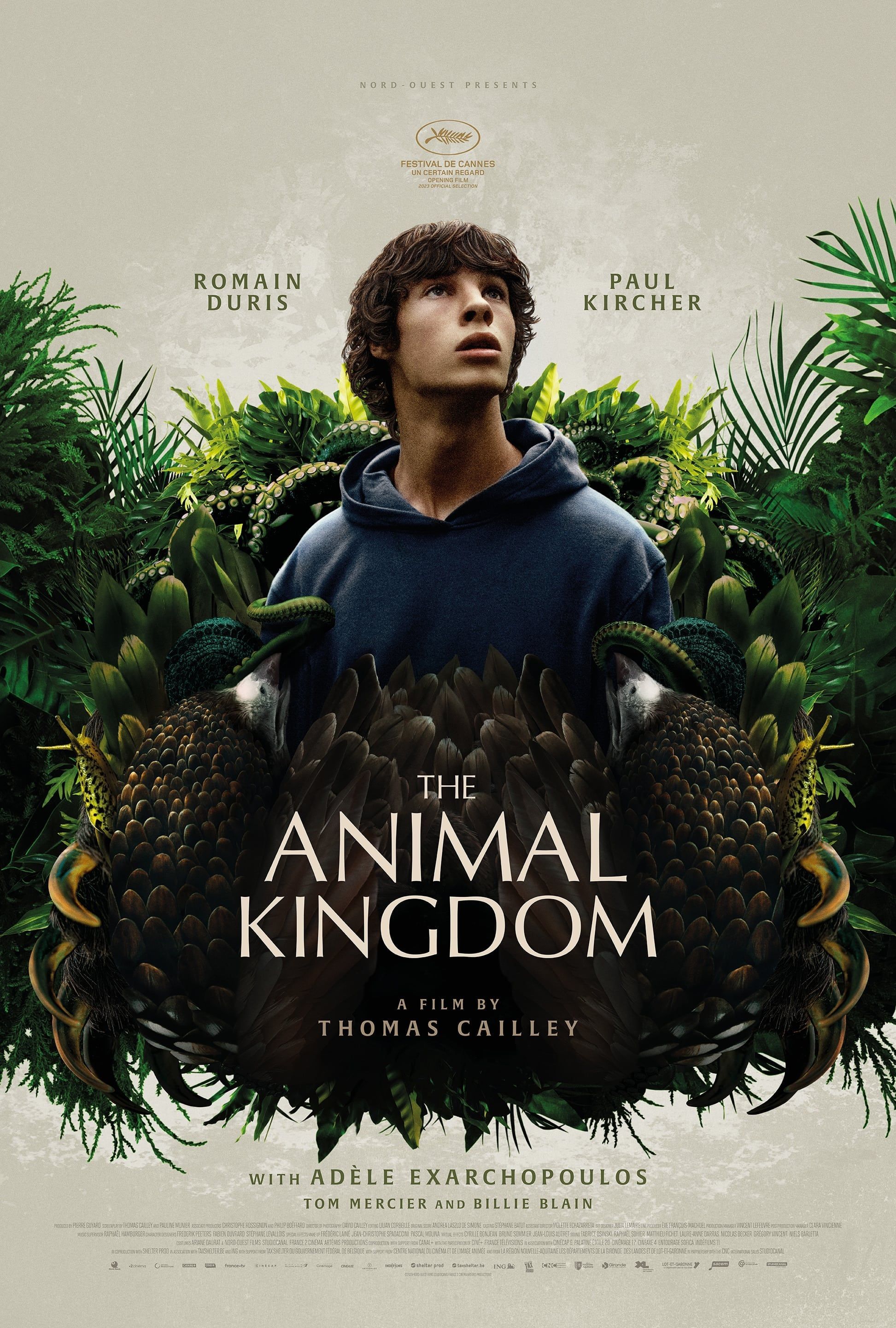 The Animal Kingdom | Collider