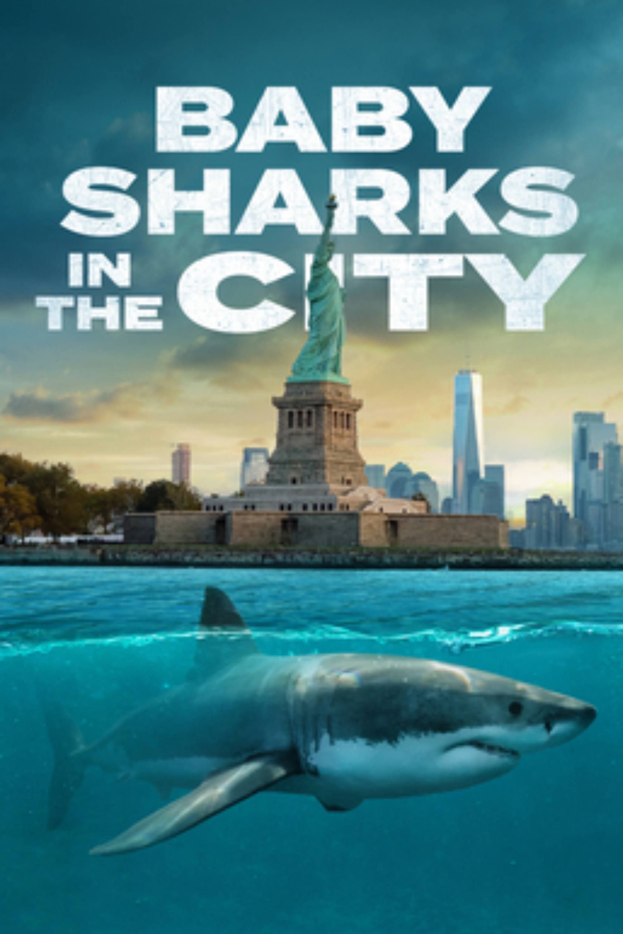 Baby Sharks in the City | Collider