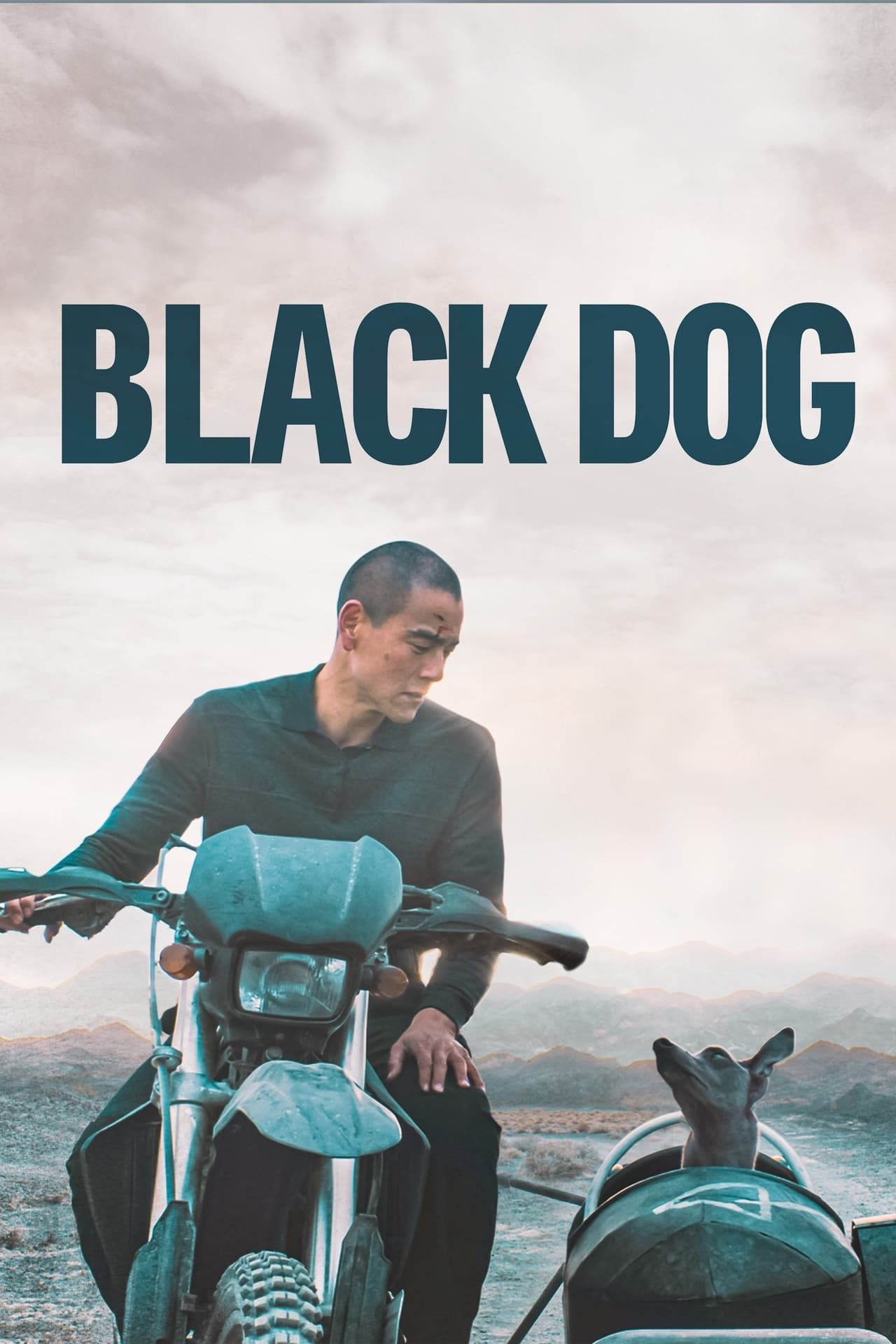 Black Dog | Collider