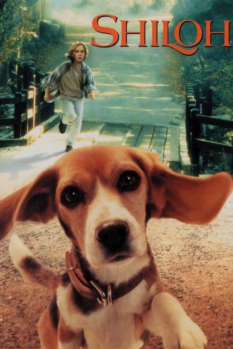 25 Sad Movies That Will Make Want to Hug Your Dog