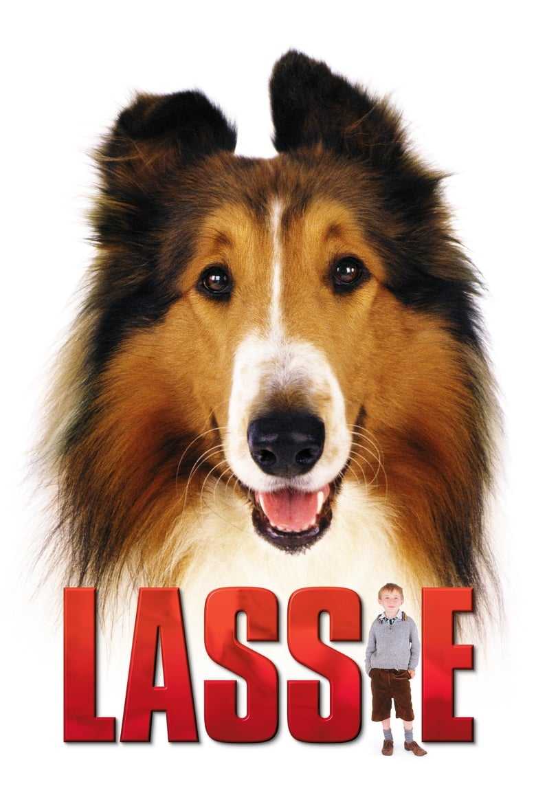 25 Sad Movies That Will Make Want to Hug Your Dog