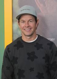  Flight Risk Review Mark Wahlberg Can t Get Mel Gibson s Action
