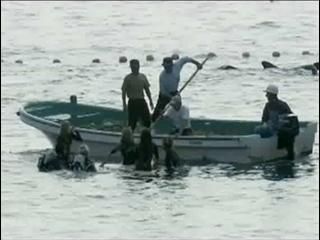 THE COVE Blu-ray Review