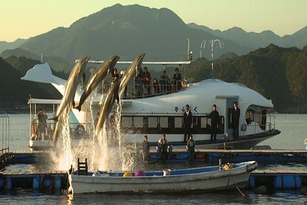 THE COVE Blu-ray Review