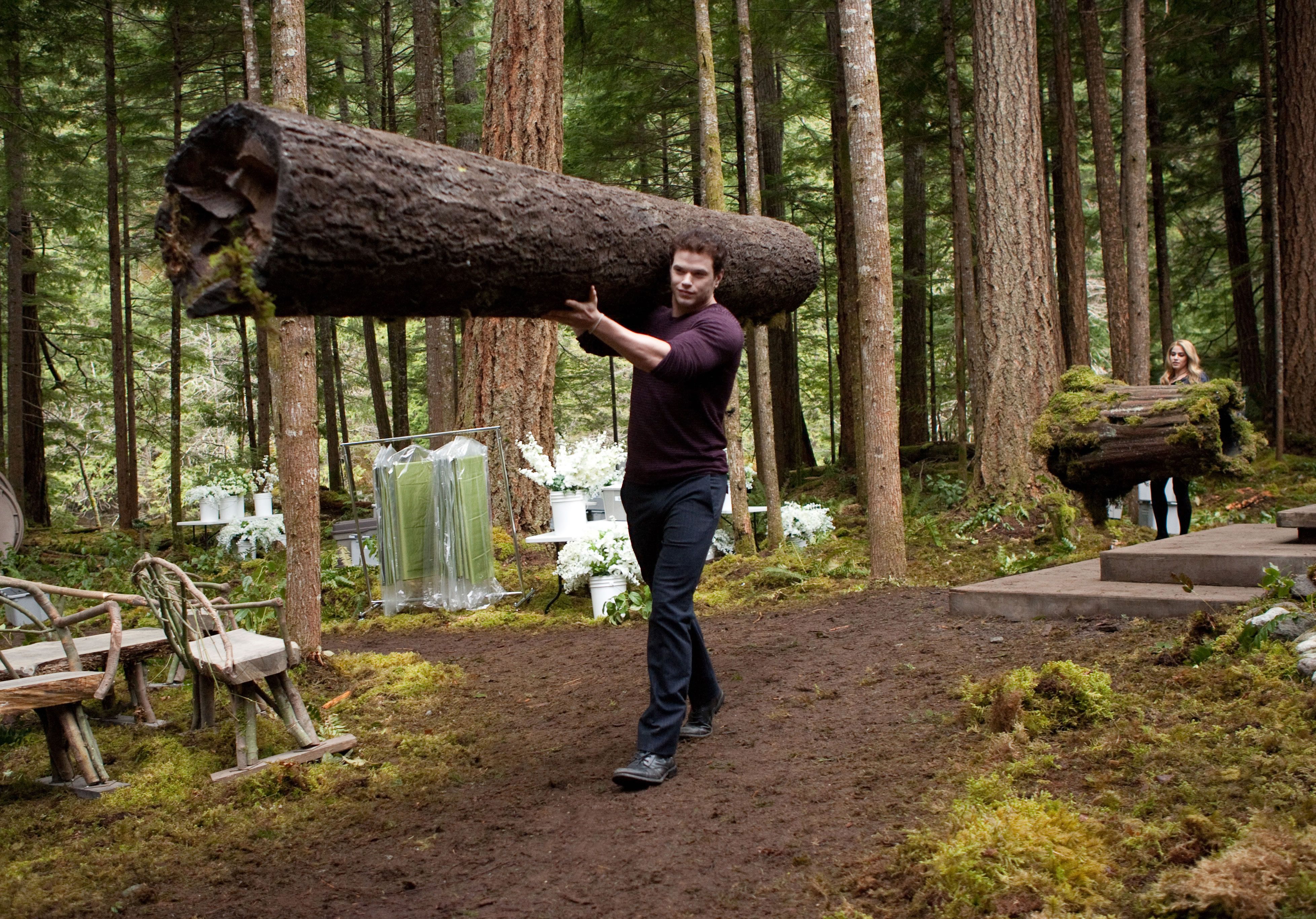 THE TWILIGHT SAGA: BREAKING DAWN – PART 1 Movie Images