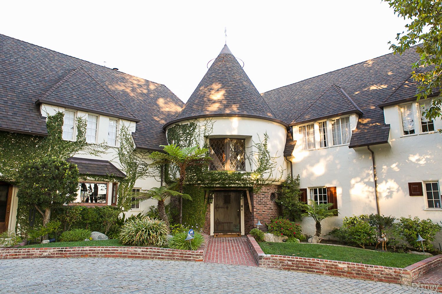 10 Things to Know About Walt Disney's Woking Way Home, Plus Images